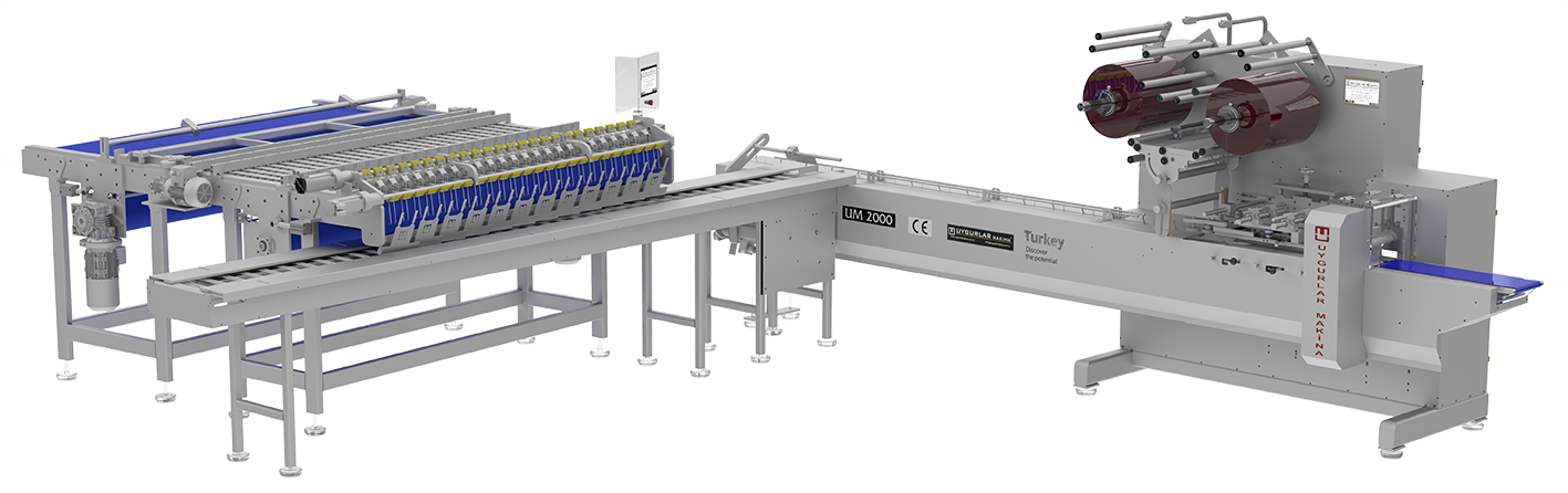 Horizontal Packing Machine Flowpack | UYGURLAR MAKINA FOOD AND ...